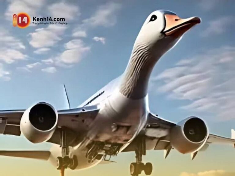 Bombombini Gusini: Câu chuyện lạ đằng sau nhân vật ngỗng máy bay