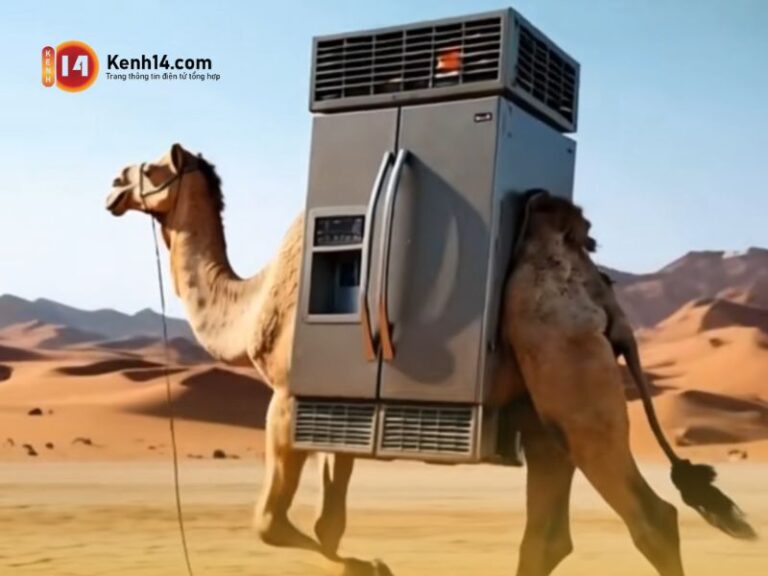 Frigo Camelo là gì? Giải mã hiện tượng động vật AI 2025